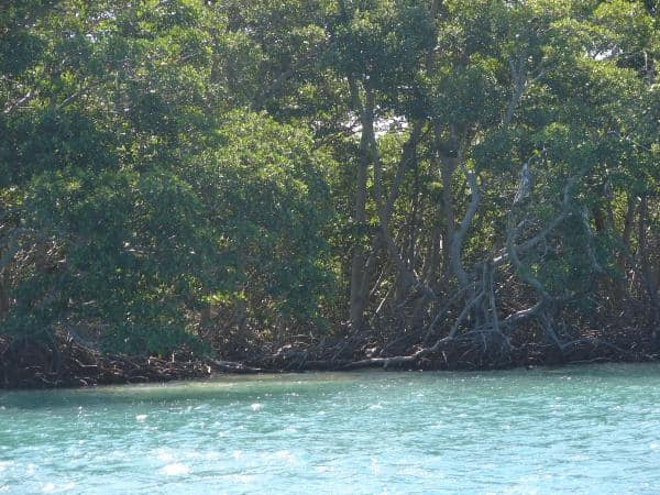 Especial TTC: Cayos de San Felipe, destino turístico de naturaleza y ...