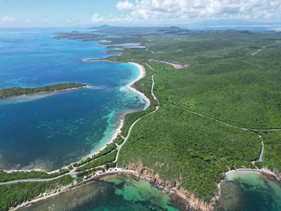 Especial TTC - Vieques, la isla donde la naturaleza y la historia ...